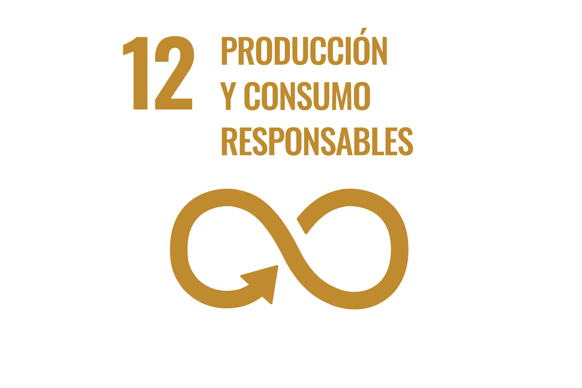 12 Producción Y Consumo Responsables Facultad De Ciencias Económicas